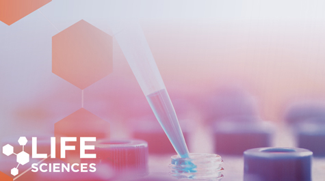 KCIC Consulting - Business Advisory Services - Washington, D.C.